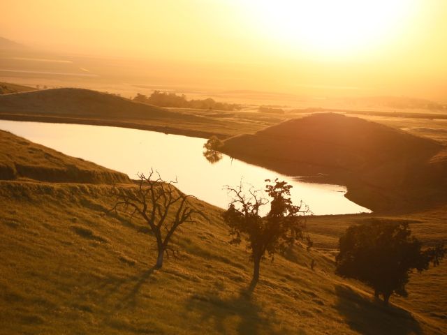 Hillary Young Lab | Ecology, Evolution, and Marine Biology | UC Santa ...